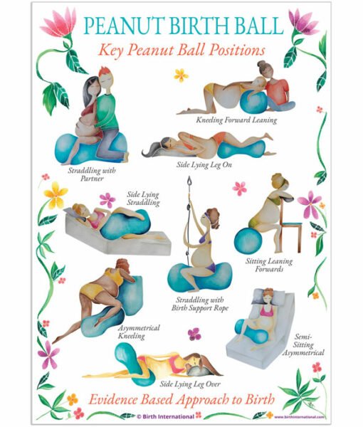 Peanut Ball Chart – Safe Care Store Canada